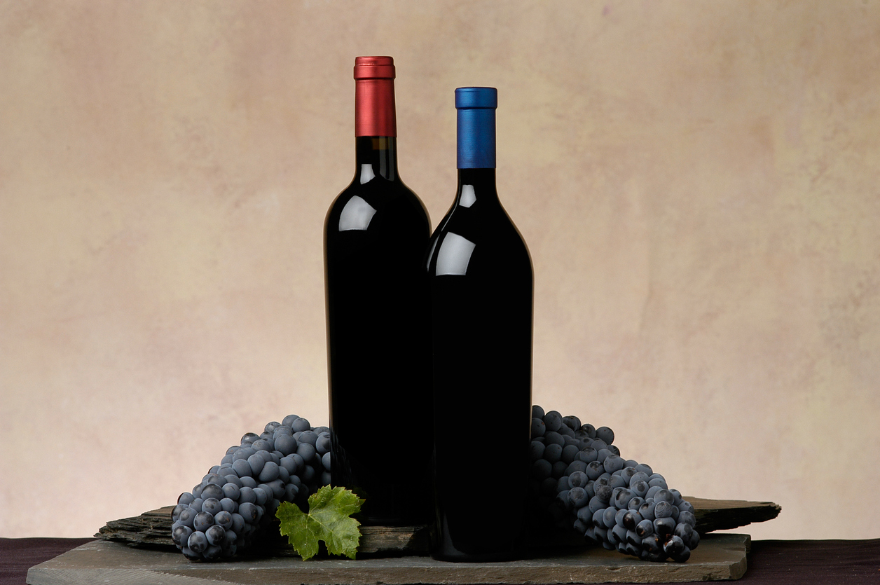Shiraz vs Merlot: Know the Differences - Wesley's Wine Tips