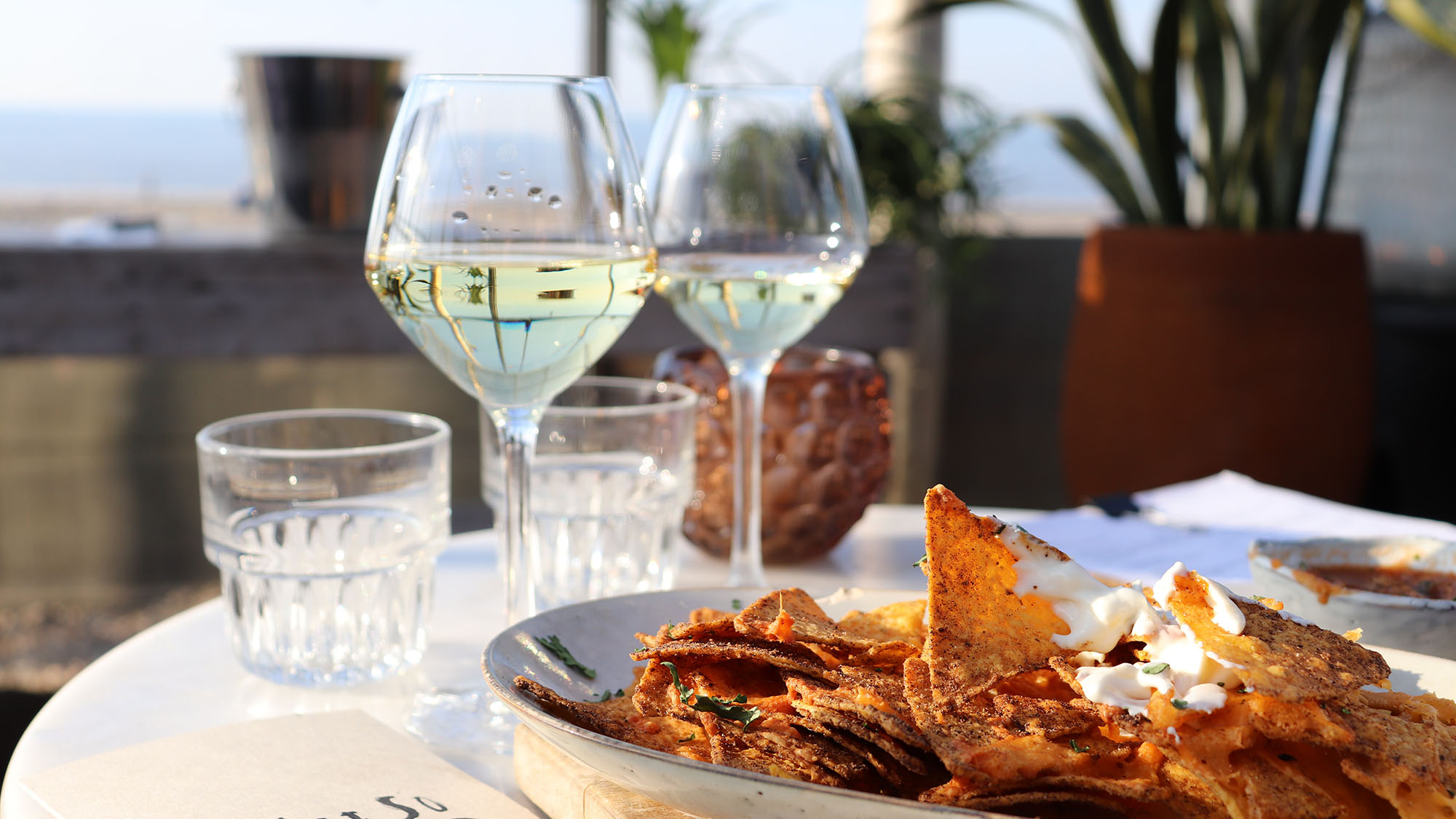 Wesley's Wine Tips - Full-bodied Tips & Reviews on Everything Wine