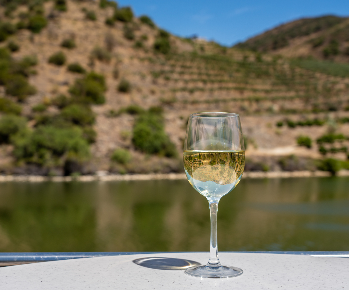 Douro Portuguese Wine: The Guide to The Douro Valley